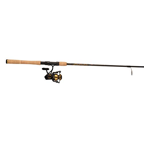 TOP 10 Best Surf Fishing Rod and Reel Combos for 2023