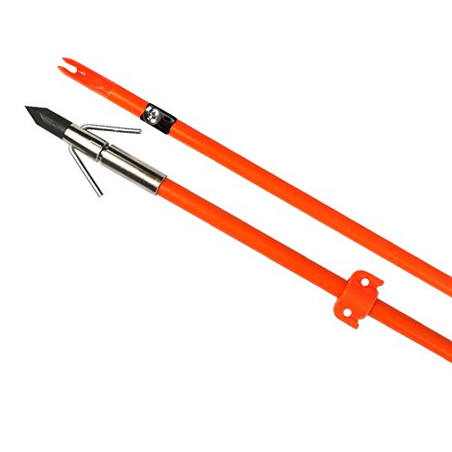 TOP 10 Best Bowfishing Arrows 2022 for Your Set Up