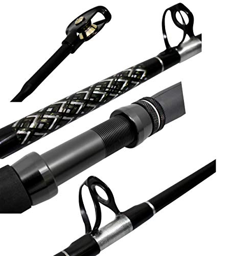 TOP 10 Best Saltwater Fishing Rods Reviewed 2023