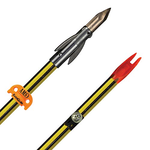 TOP 10 Best Bowfishing Arrows 2022 for Your Set Up