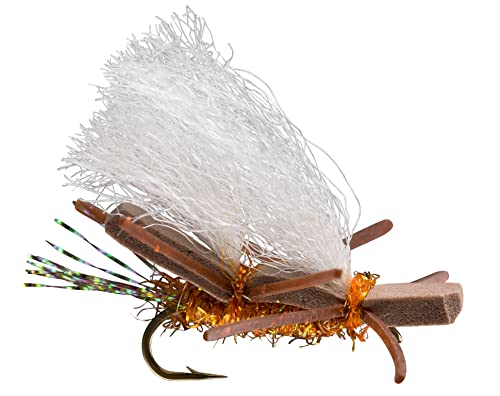 The TOP 15 Best Dry Flies for Catching More Trout