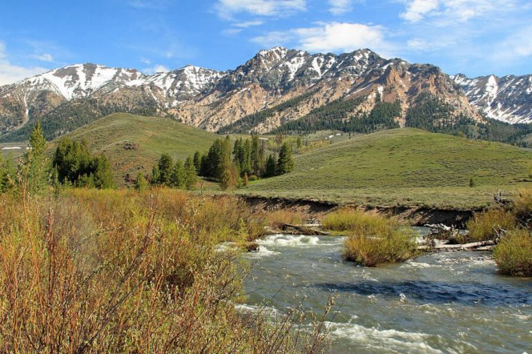 Fly Fishing in Sun Valley, Idaho (Best Fishing Spots & Tips)