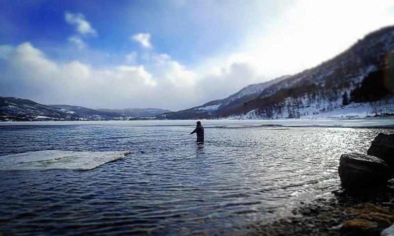 How to Tell The Difference Between Northern Pike & Peamouth