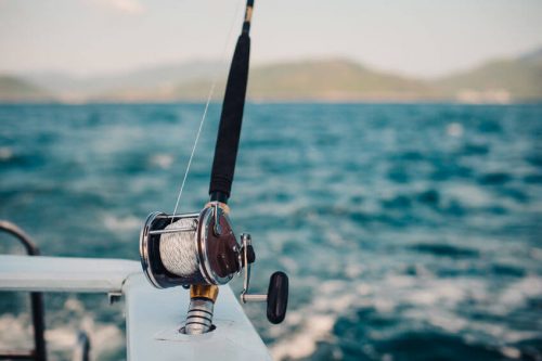 8 Different Types of Fishing Rods (When to Use Them?)