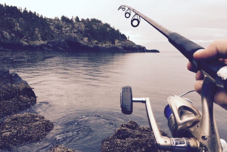How-To: Set up The Fishing Rod? (For Your Next Fishing Trip)