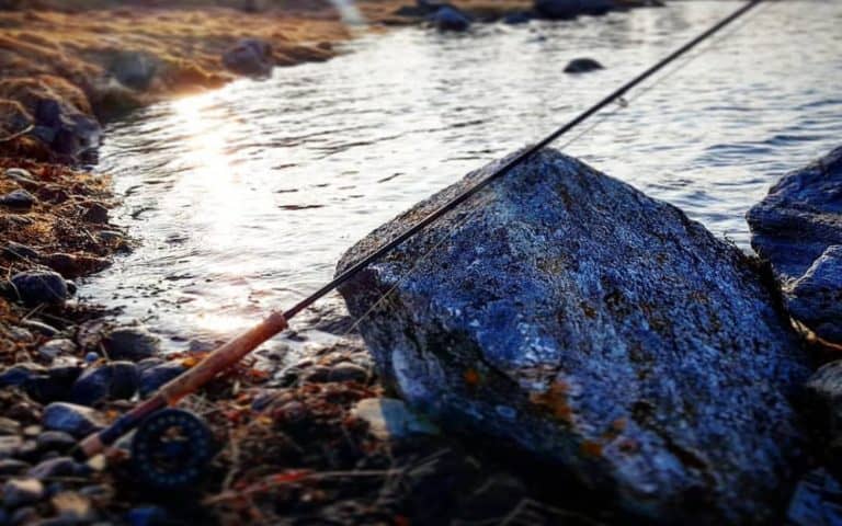 Fall Carp Fishing - 13 Ways to Succeed Fall Fishing For Carp