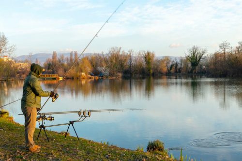Carp Fishing For Beginners → (The Ultimate Guide 2025)