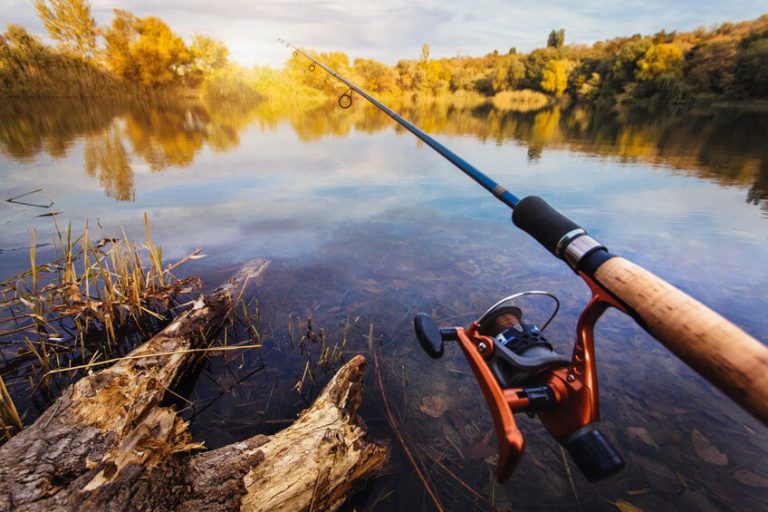 5 Types of Fishing Reels Explained - Know Your Reel!