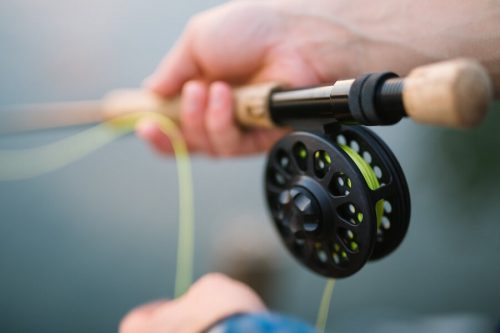 How To Choose The Right Fly Line Weight? (Answered)