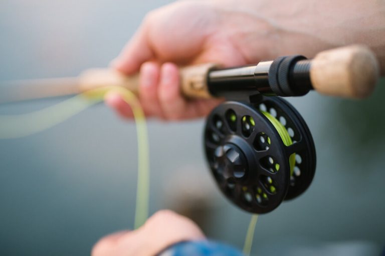 How To Choose The Right Fly Line Weight? (Answered)