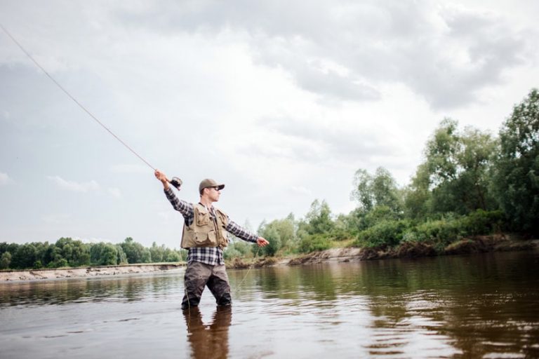 Fly Rod Action Explained: Which Rod Action is Right for Me?