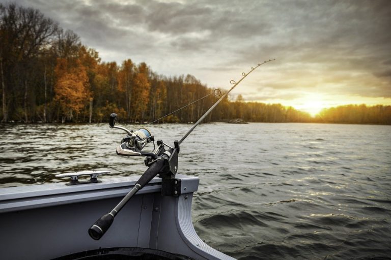 Types of Fishing Lines Explained: Pros, Cons & Their Uses