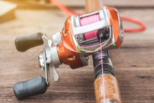 Does Fishing Line Color Matter? Absolutely, Here's Why!