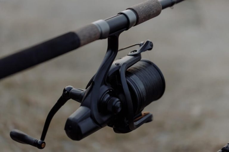 Spincast vs Spinning Reel - Pros, Cons & Which is Better?