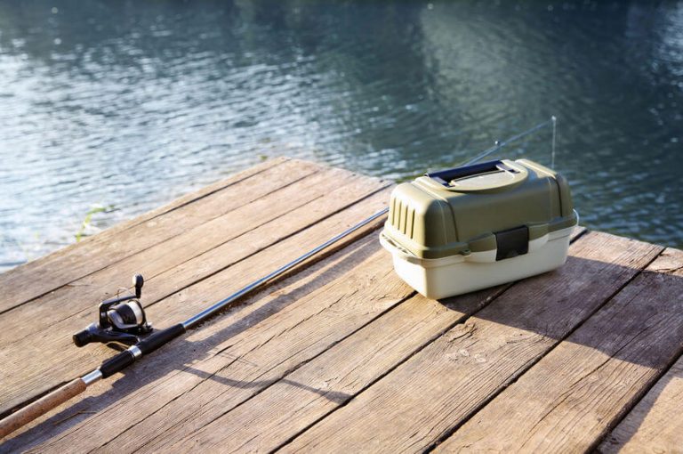 Essential Carp Fishing Equipment Checklist (Must Have!)