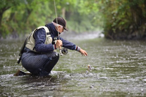 Complete Fly Fishing Gear List - Essentials for Beginners