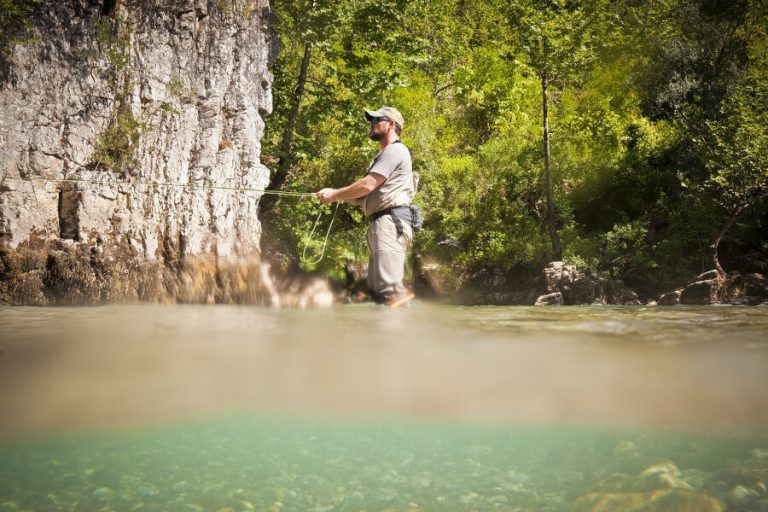 Does Your Fly Line Color Make a Difference? (Answered!)