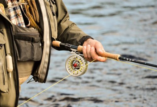 How To Choose The Right Fly Line Weight? (Answered)