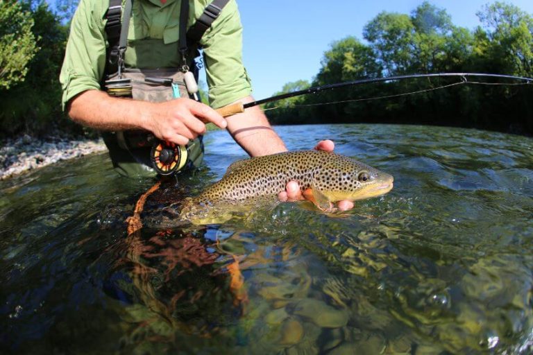 When do Brown Trout Spawn & Should You Fish?