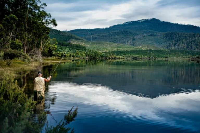 Fly Rod Action Explained: Which Rod Action is Right for Me?