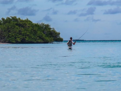 The 8 Best Saltwater Fly Lines for 2025 (The Ultimate Guide)