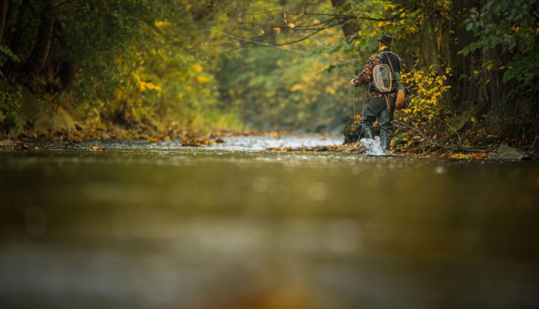 Complete Fly Fishing Gear List - Essentials for Beginners