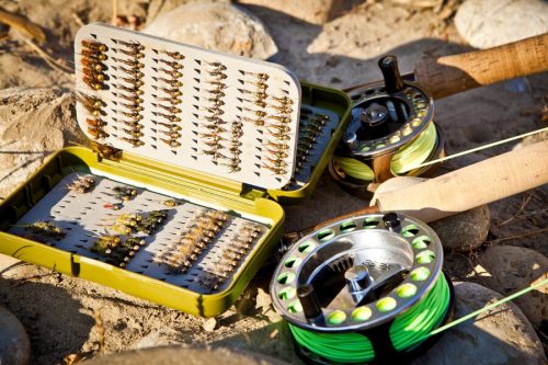 The TOP 15 Best Dry Flies for Catching More Trout
