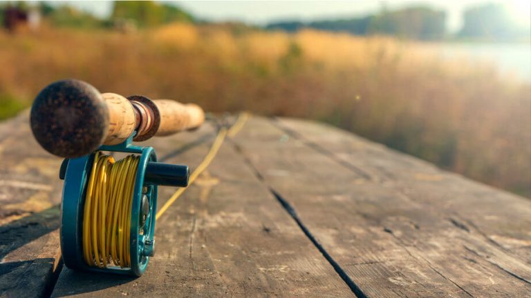 7 Top Best Floating Fly Lines in 2026 (Tested & Reviewed)