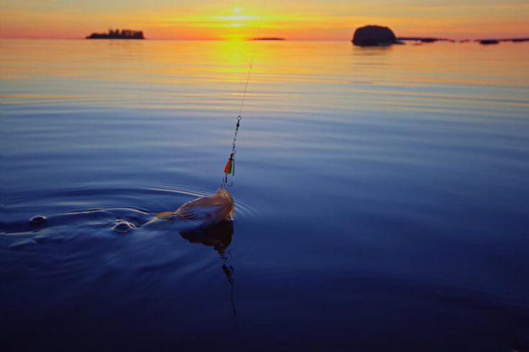 Does Fishing Line Color Matter? Absolutely, Here's Why!