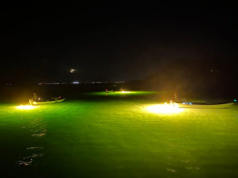 The 11 Best Bowfishing Lights for 2026 | Let There Be Fish!