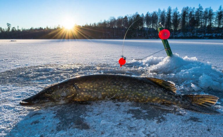 TOP 7 Best Ice Fishing Lures & Baits for Pike in 2025