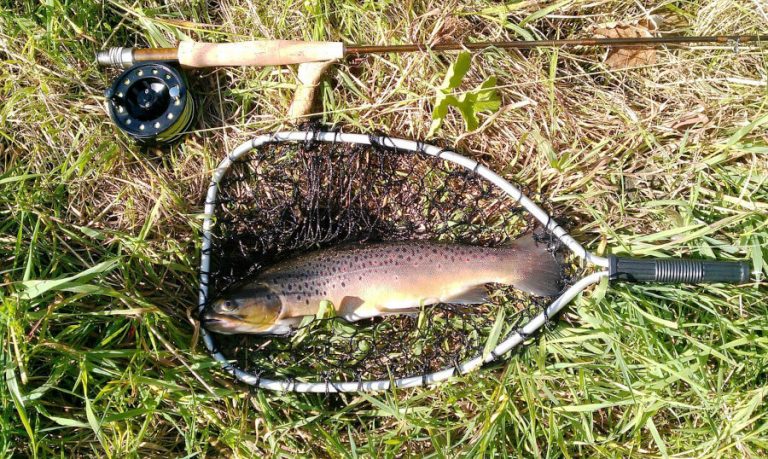 Best Barometric Pressure for Fishing (Complete Guide)