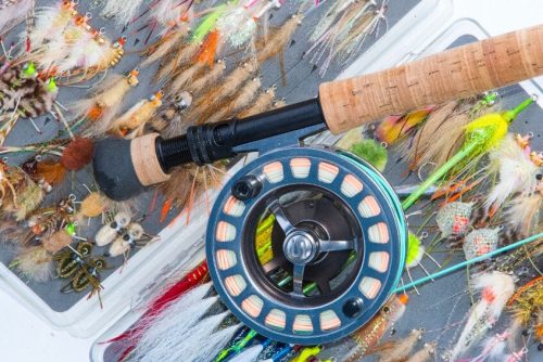 The 8 Best Saltwater Fly Lines for 2025 (The Ultimate Guide)