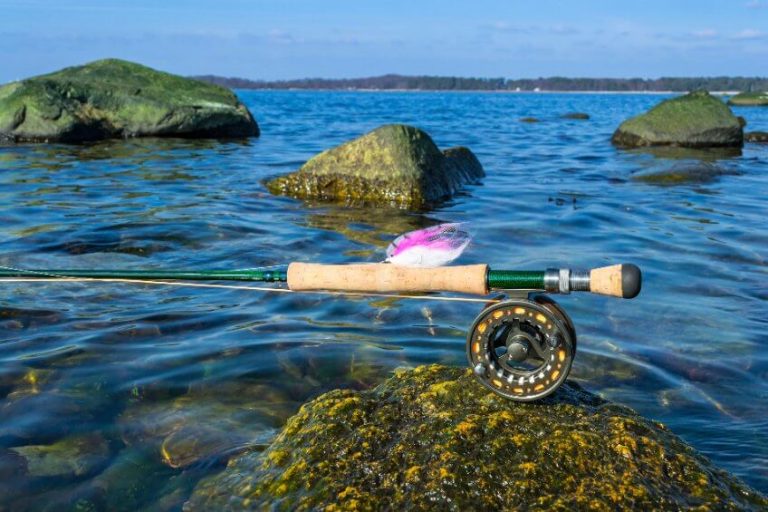 The 8 Best Saltwater Fly Lines for 2025 (The Ultimate Guide)